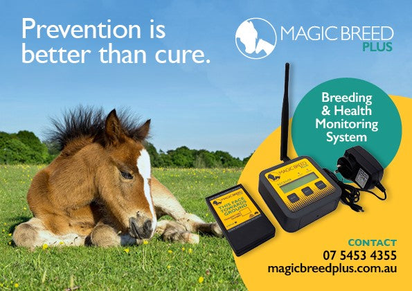 Magic Breed Plus Foaling Alarm – Kelaray Equestrian
